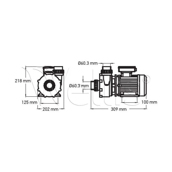 Hierontapumppu 3 HP Yksinopeuksinen Poreallashuolto Hierontapumppu 3 HP Yksinopeuksinen Poreallashuolto